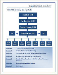Organizational Structure – NPL